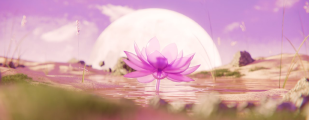 The gateway to MANTRA Chain. | MANTRA Zone
